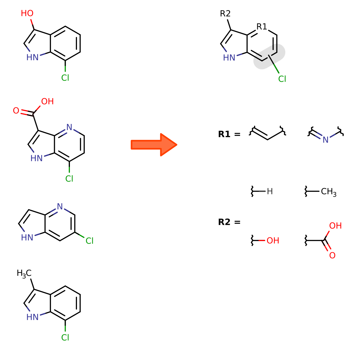 Markush Editor and MarkushTools
